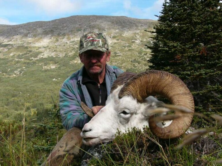 Offering Stone Sheep Hunts - Jennings River Wild Adventures